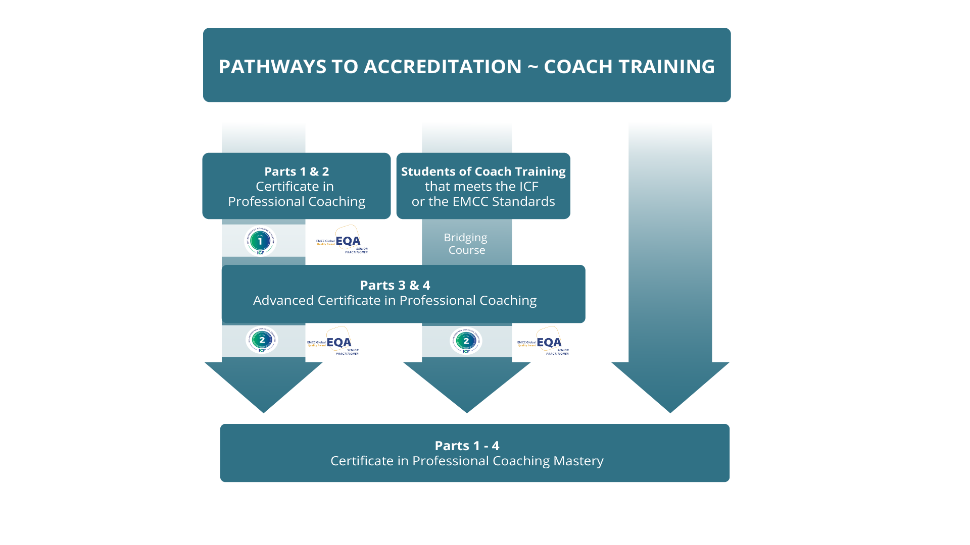 Coach Training - Transcend